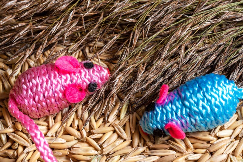 Two Toy Mice on Grains and Spikelets. Pink and Blue Mouse Stock Photo ...
