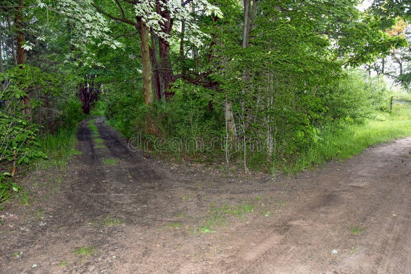 253 Two Track Dirt Road Country Photos - Free & Royalty-Free Stock ...