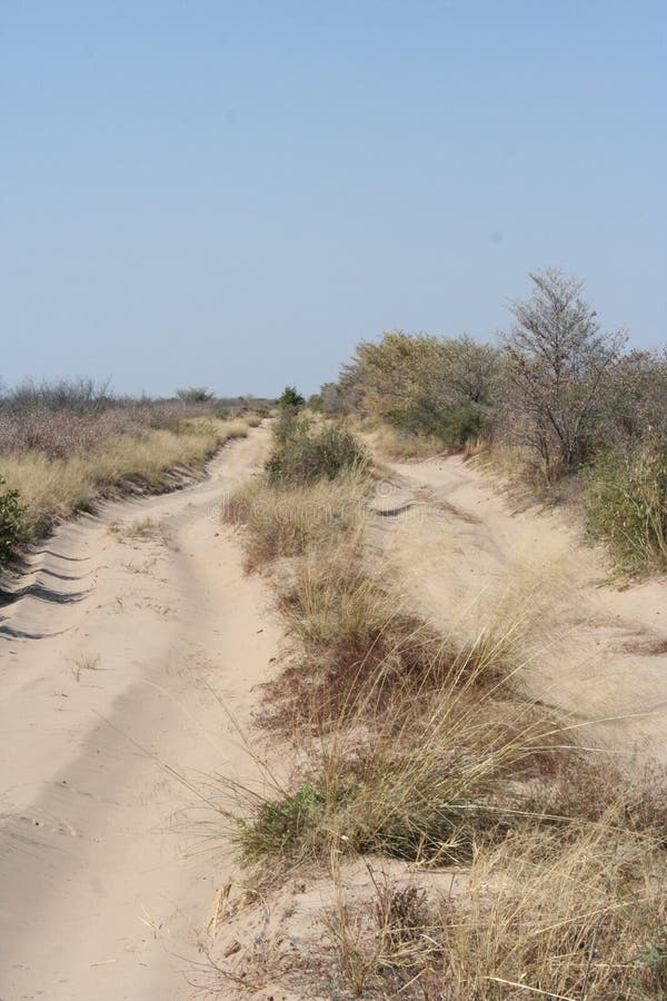 Two track path stock photo. Image of grassy, sand, road - 67422040