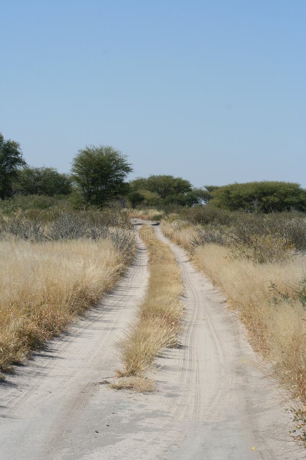 Two track path stock photo. Image of grassy, africa, trail - 67422048