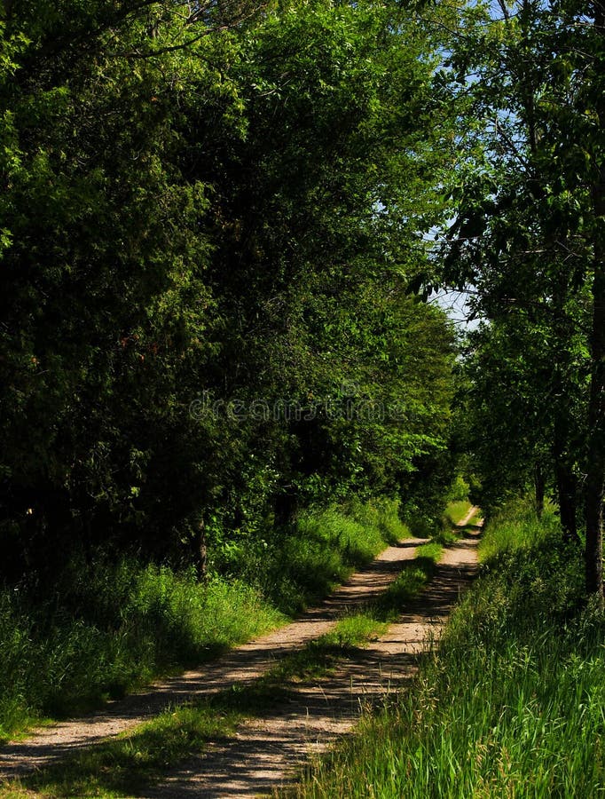 Two Track Road stock image. Image of lane, track, grass - 21457545