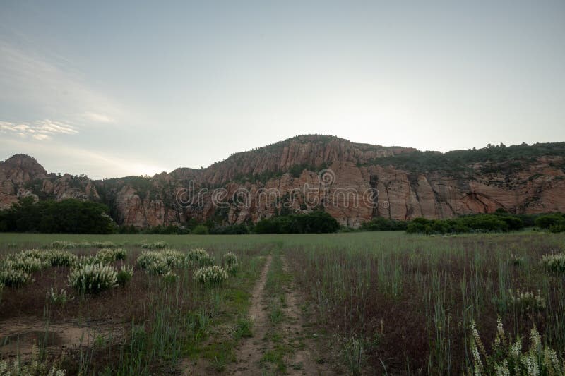 Two Track Trail Across Grass Field Toward the Cliffs of Upper Kolob ...