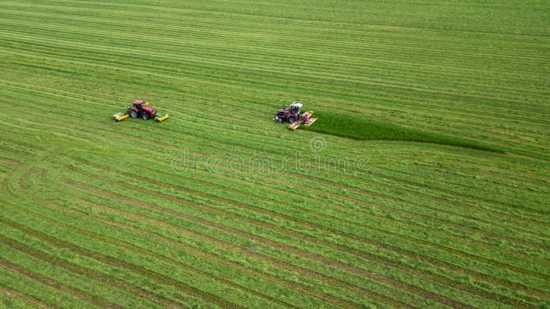 Two Tractors Mows the Grass on a Green Field Aerial View Stock Image ...
