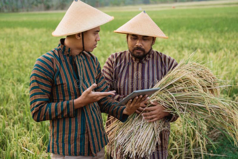 Two Traditional Farmer Using Smart Technology Farming Stock Photo ...