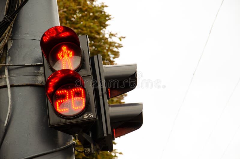 Two Traffic Lights with Red Timer. Countdown Seconds on Pedestrian ...