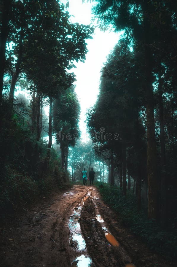 Two Travellers Standing by a Forest Road in a Gloomy Cloudy Day. Stock ...