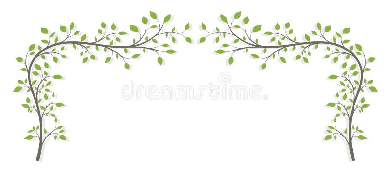 Two Tree Branches in the Shape of an Arch with Green Leaves and a ...