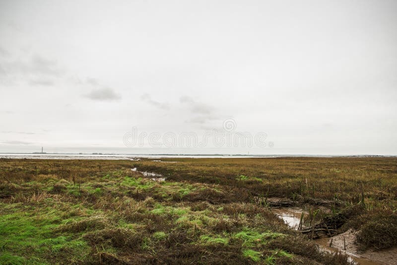 Two Tree Island Marshes stock image. Image of wild, clouds - 36589987