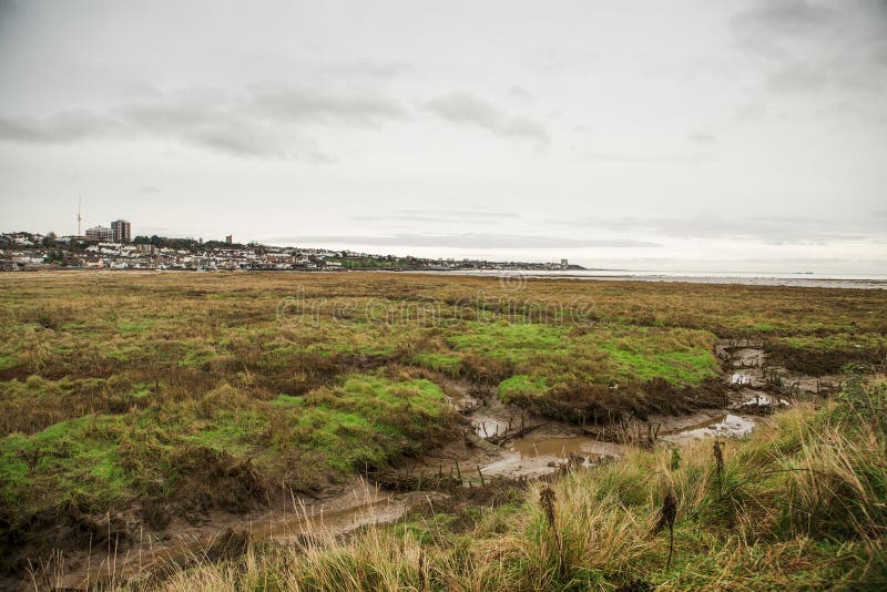 Two Tree Island Marshes stock image. Image of landscape - 36590673