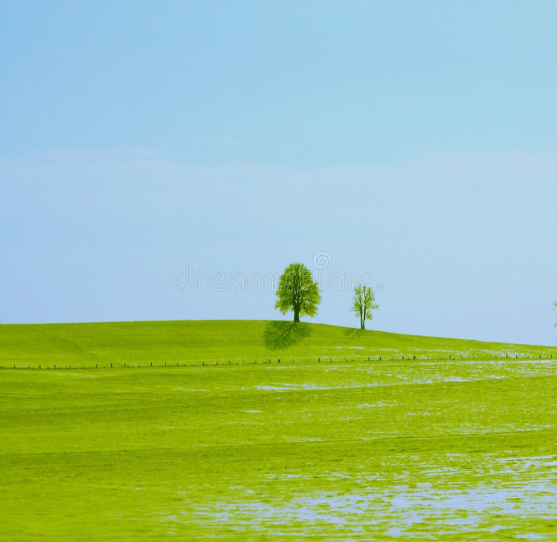 Landscape stock image. Image of nature, beautiful, tree - 111238653