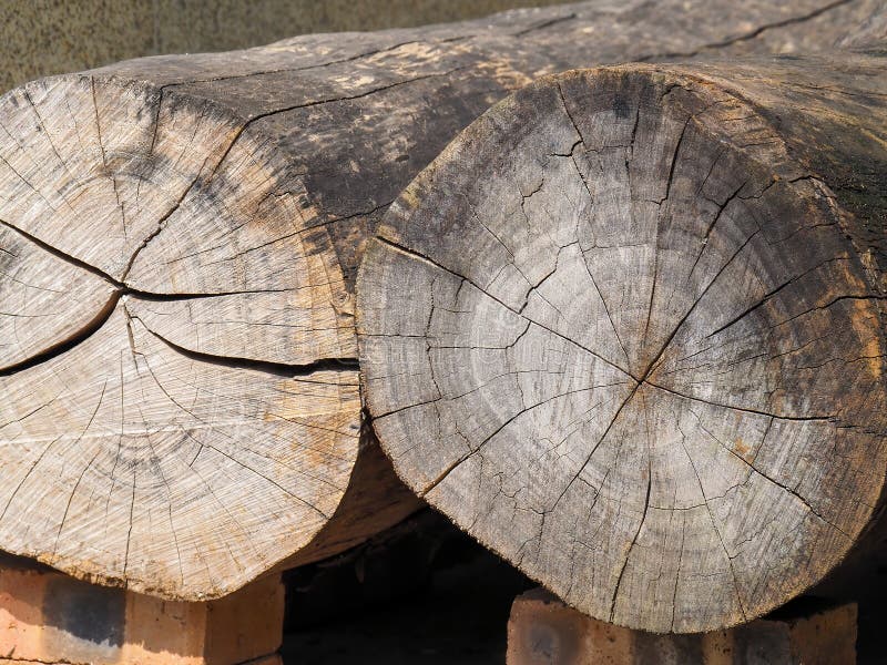 Two Tree Trunks Stacked Next To Each Other Stock Image - Image of bark ...
