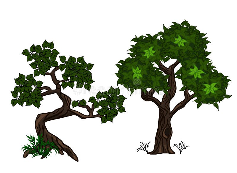 Two Tree stock vector. Illustration of park, design, flora - 47982300