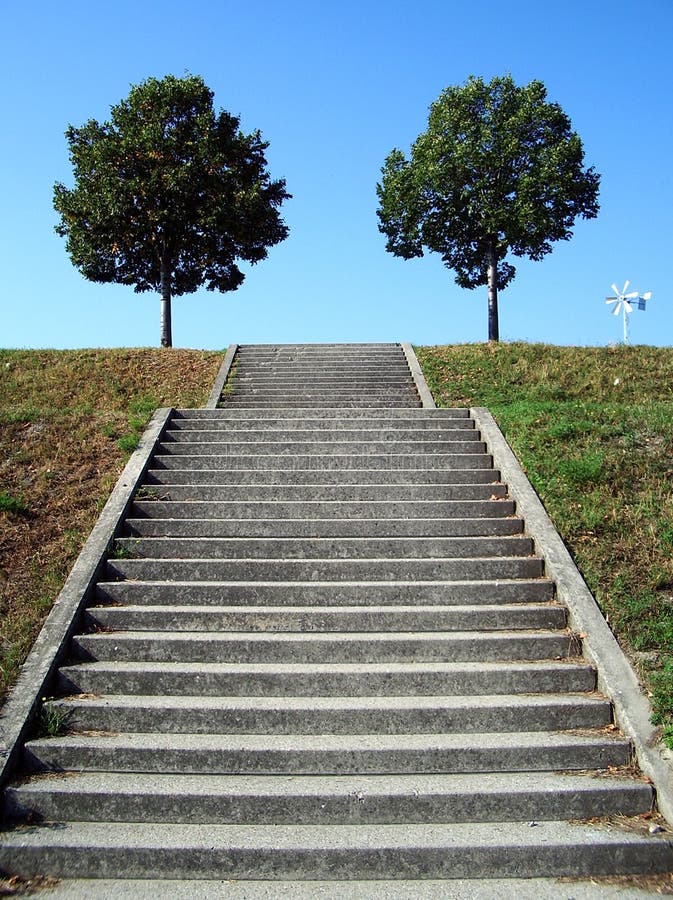 160+ Symmetry trees Free Stock Photos - StockFreeImages