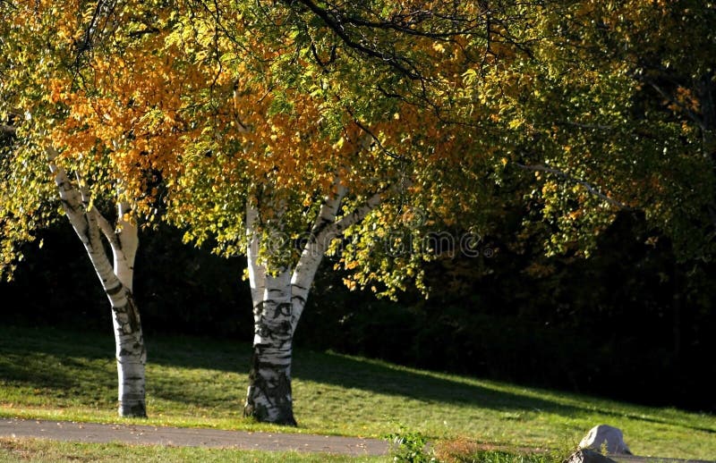 Autumn Landscape stock image. Image of relax, season, picture - 3520449