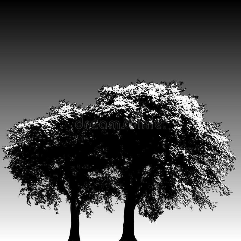 Two trees stock vector. Illustration of natural, trees - 5113687