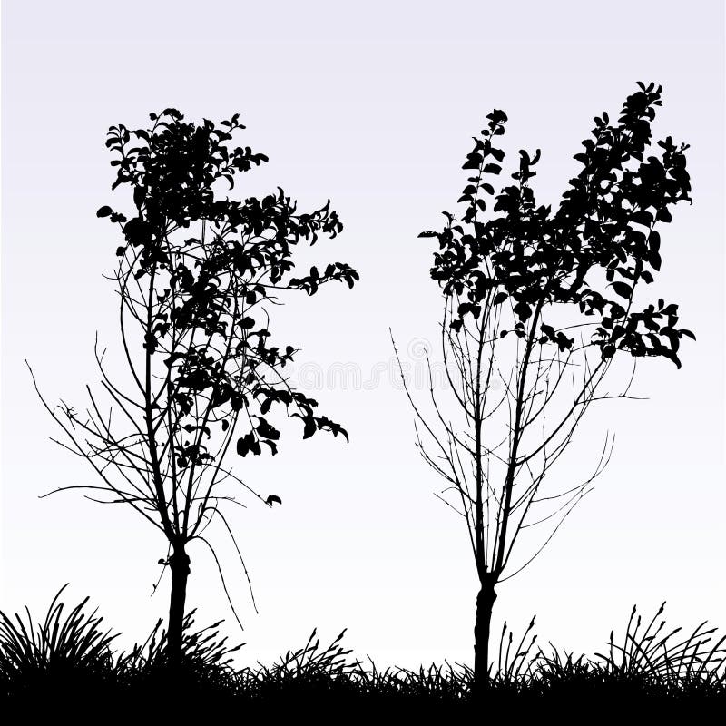 Two Trees Stock Illustrations – 10,379 Two Trees Stock Illustrations ...