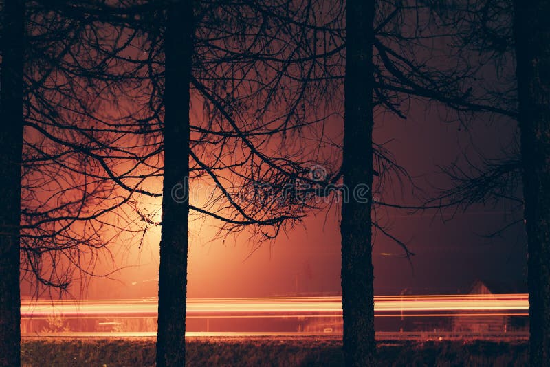 Two Trees Against Car Light Trails in the Road. Stock Image - Image of ...