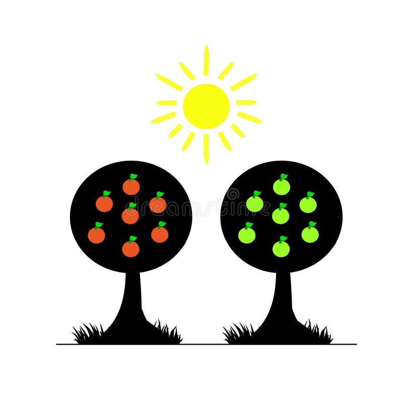 Two Trees with Apples and Sun Stock Vector - Illustration of growth ...