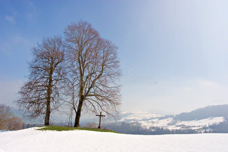 Two trees and a cross stock image. Image of frost, trees - 2223233