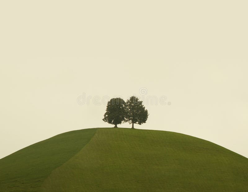 Two trees on a hilltop stock photo. Image of love, simple - 124586548
