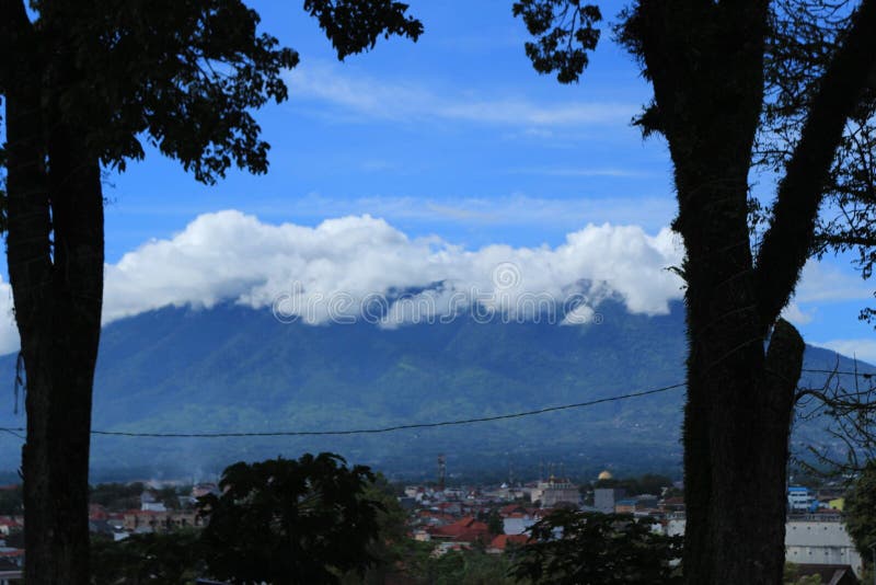 Two Trees with Mount Background Stock Image - Image of evening ...