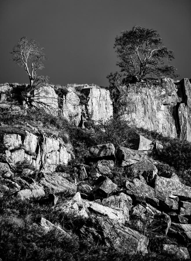 Two Trees Perched on Huge Crumbling Rocks. Stock Photo - Image of trees ...