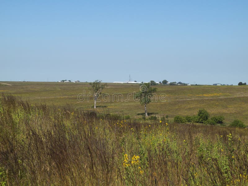 Two Trees in the Prairie stock photo. Image of trees - 33403444
