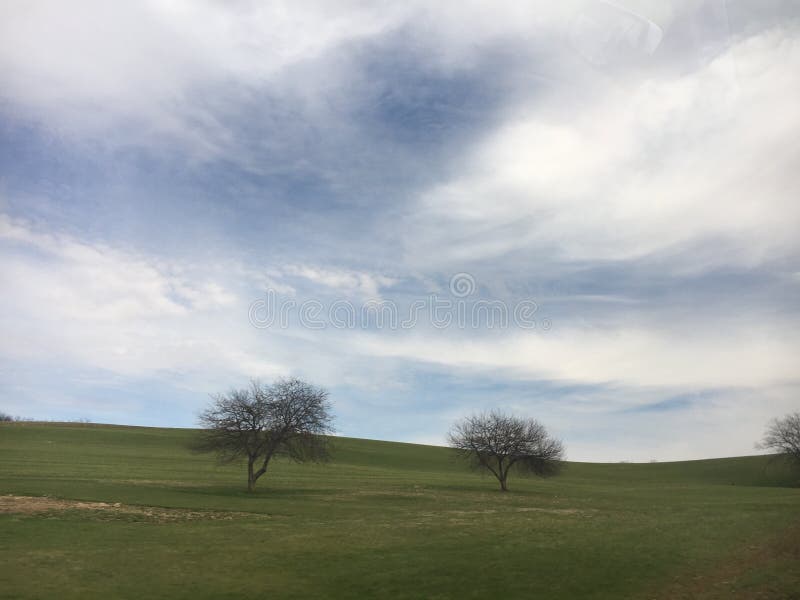 Two Trees stock image. Image of landscape, trees, grass - 96071527