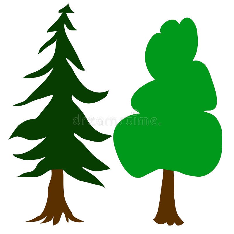 Two Trees Vector Coniferous and Deciduous Tree on White Stock ...