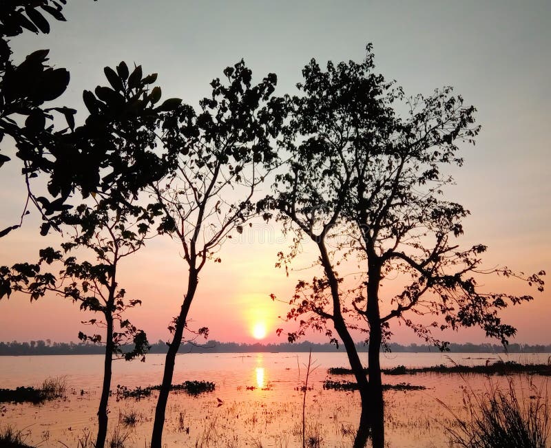Two Trees Welcoming the Sunrise Stock Photo - Image of sunrise ...