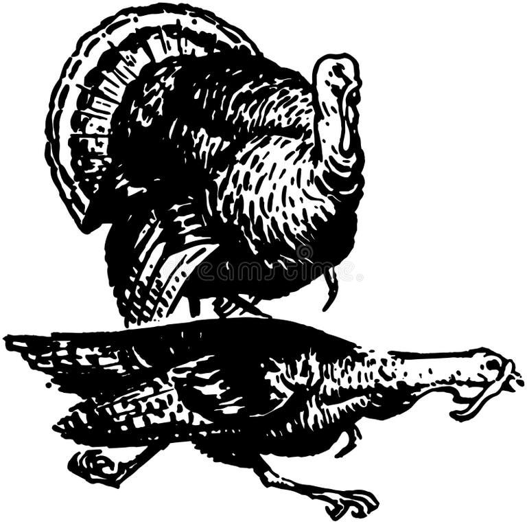 Two Turkeys stock vector. Illustration of clip, turkeys - 42094193