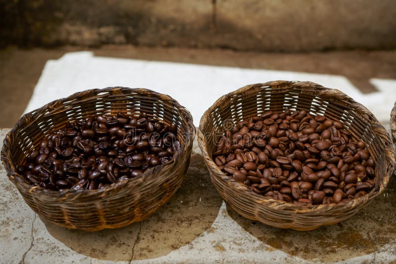 Two Types of Coffee Freshly Dried, Ventilated and Ripened. Stock Image ...