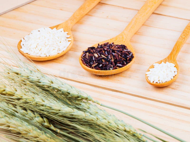 Two Types of Milled Rice on Wooden Spoons Stock Photo - Image of ...