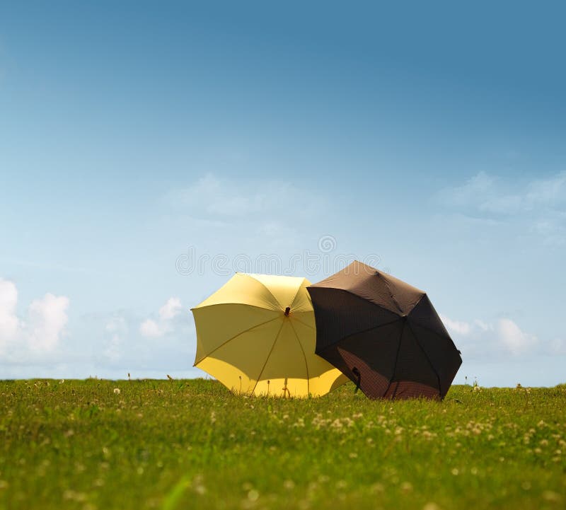 Two Umbrellas On A Sunny Meadow Stock Photo - Image of holding ...