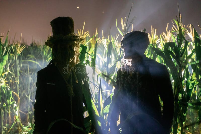 Two Zombies Stand at the Edge of a Cornfield Stock Photo - Image of ...