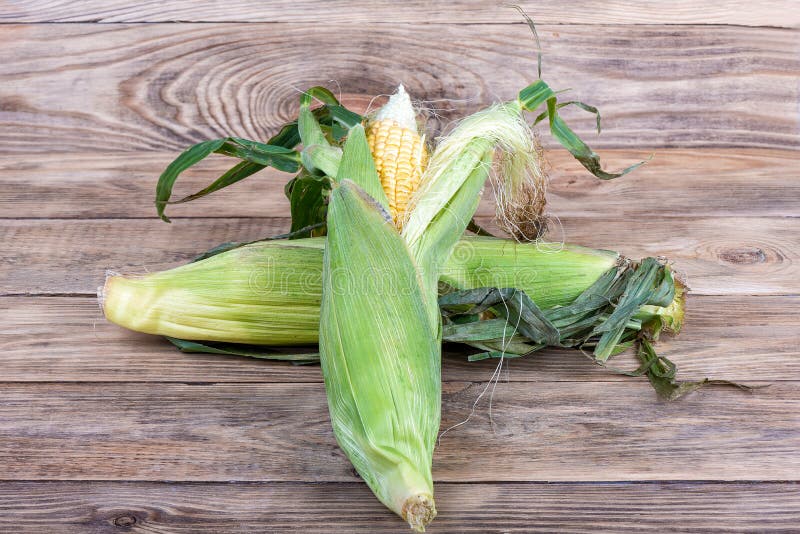 497 Unpeeled Corn Stock Photos - Free & Royalty-Free Stock Photos from ...