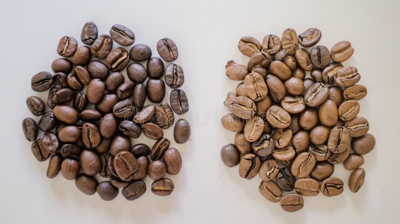 Two Varieties of Coffee Beans on White Surface Stock Image - Image of ...