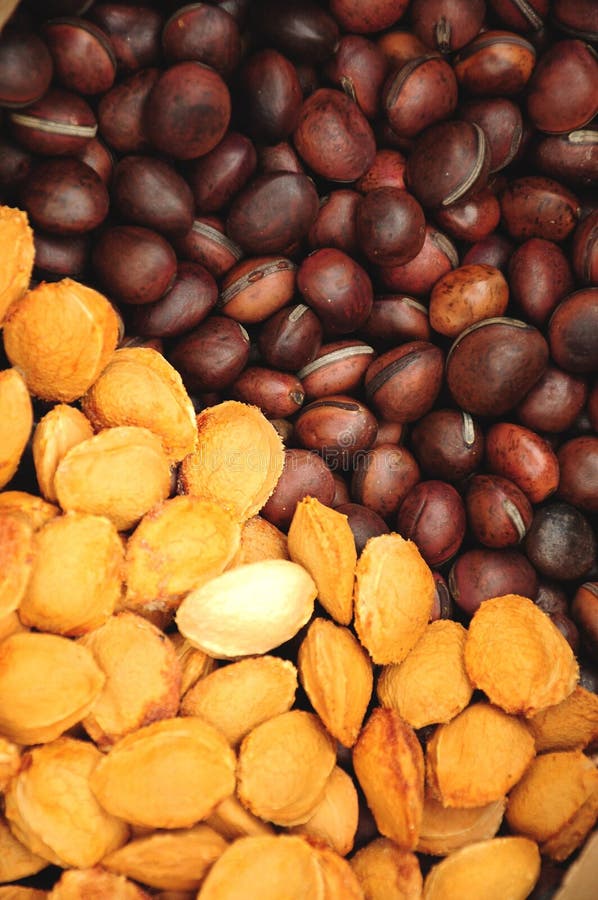 Two Various Seeds, Beans and Other Things. Stock Image - Image of ...