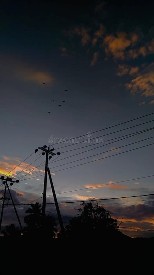 Two Very Tall Power Poles and a Lot of Cables Stock Image - Image of ...