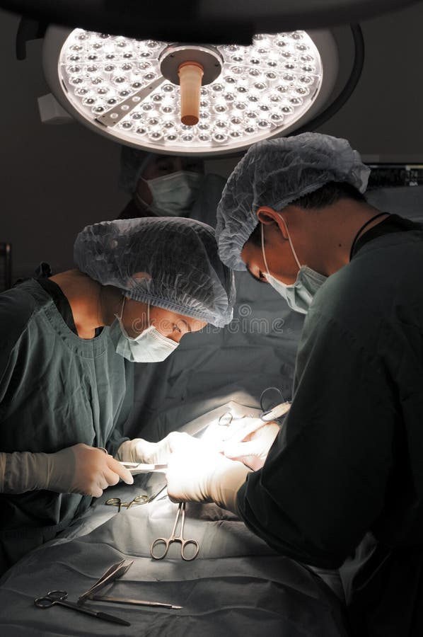 Two Veterinarian Surgeons in Operating Room Stock Photo - Image of mask ...