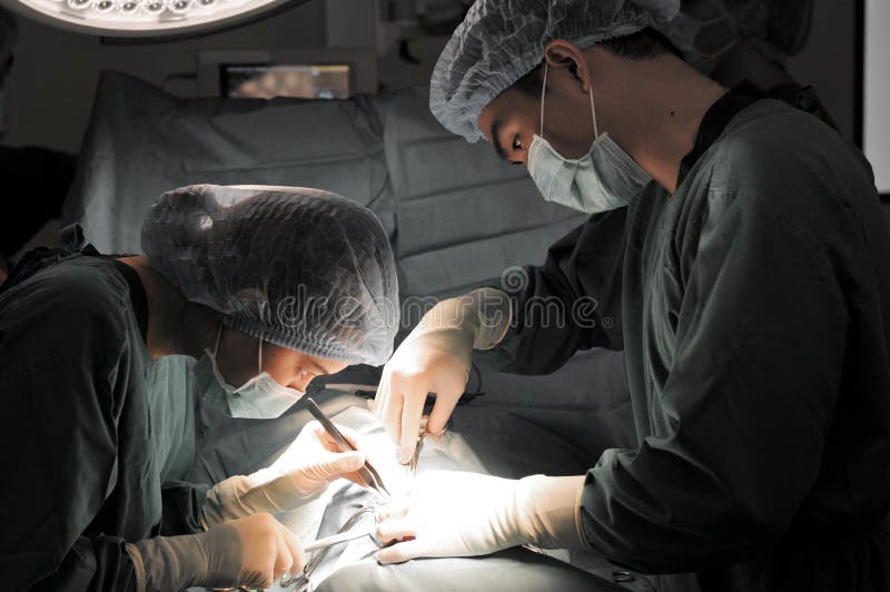 Two Veterinarian Surgeons in Operating Room Stock Image - Image of ...