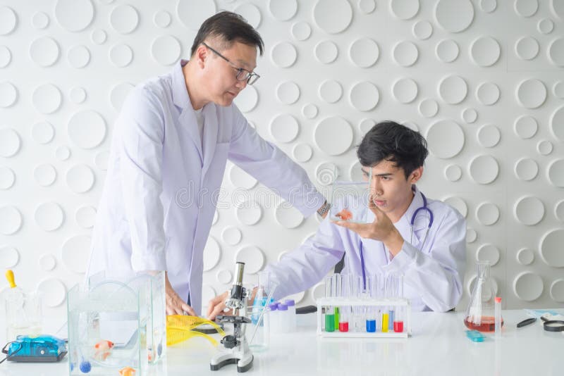 Two Veterinary Man Doctors or Researcher are Study and Research on the ...