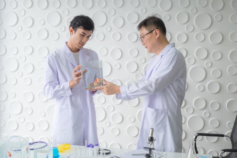 Two Veterinary or Researcher are Study and Research on the Biology and ...