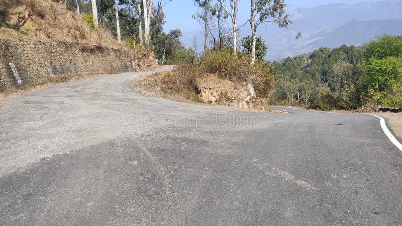 Two Village roads stock photo. Image of village, plant - 208743086