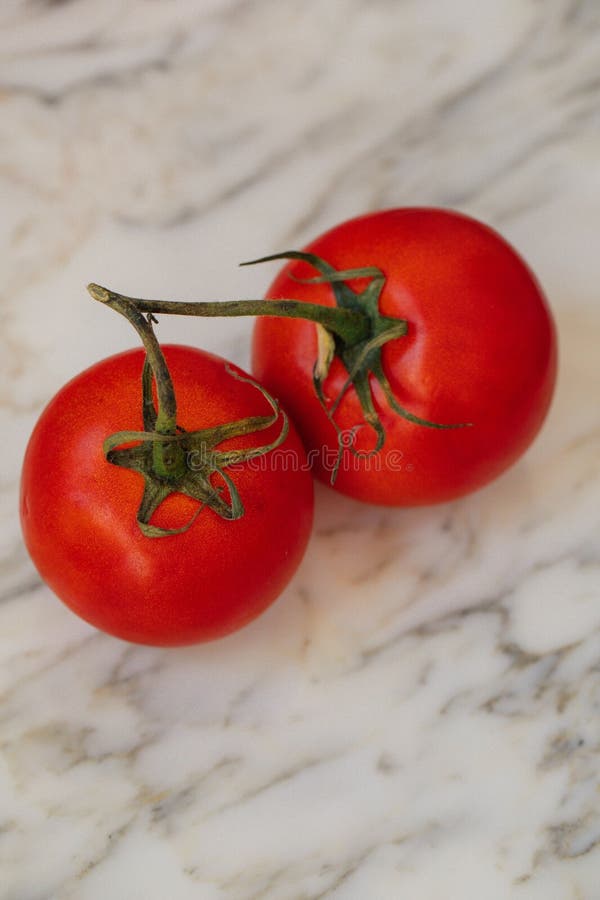 Two Round Red Ripe Tomatoes Connected by Green Vine Stock Image - Image ...