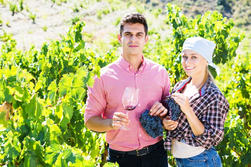 Two vintners outdoors stock image. Image of collect, adult - 94647743