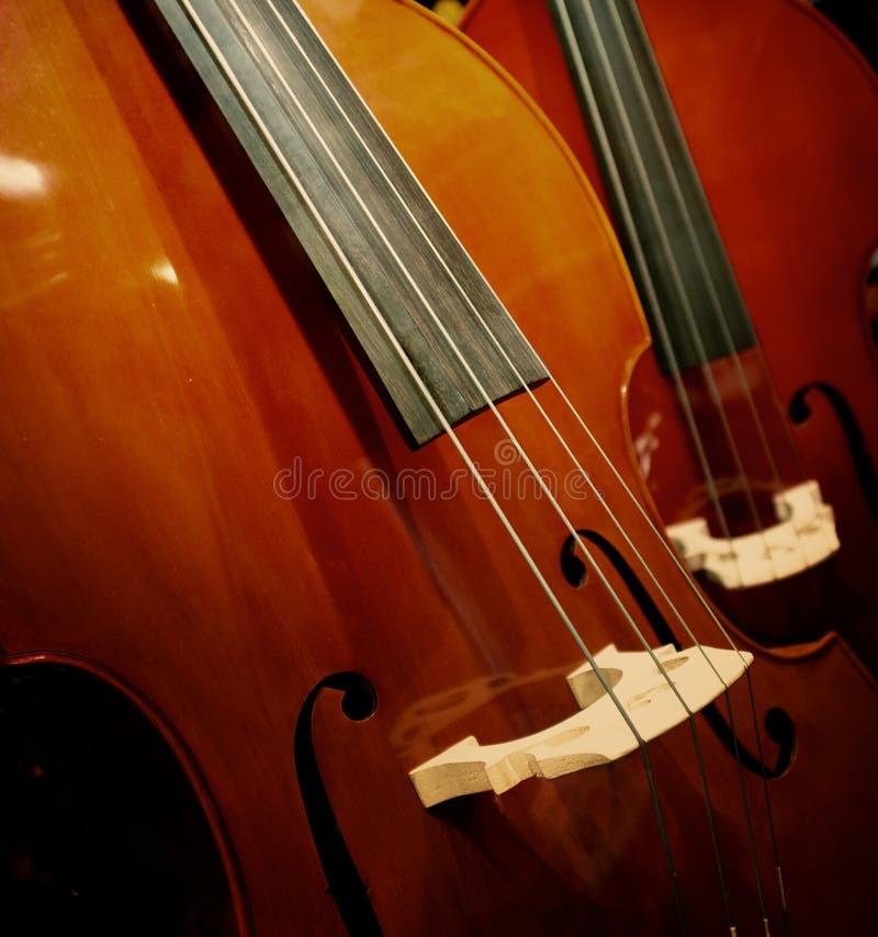 Two violins stock photo. Image of classicism, fiddle - 26013138