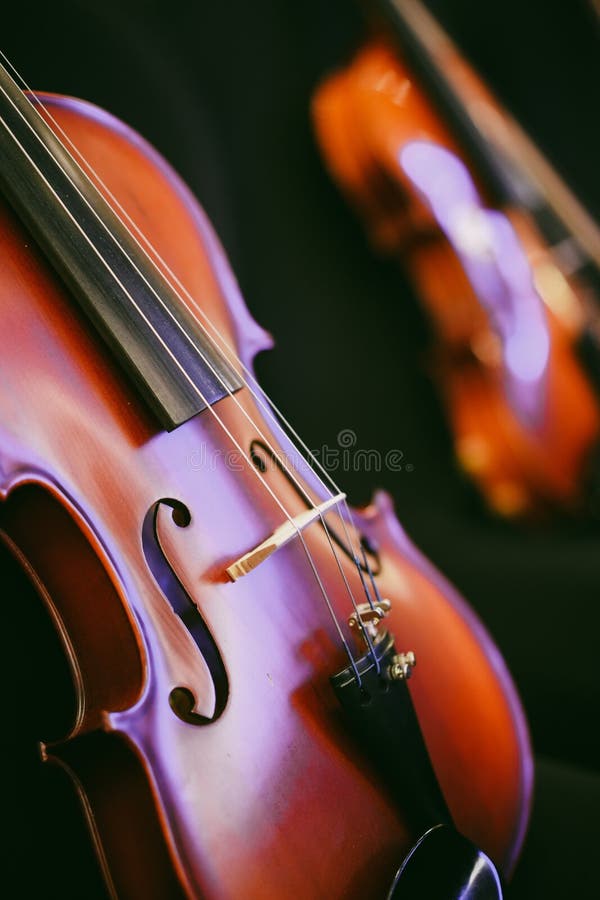 Two violins on some chairs stock photo. Image of concentrating - 261465166