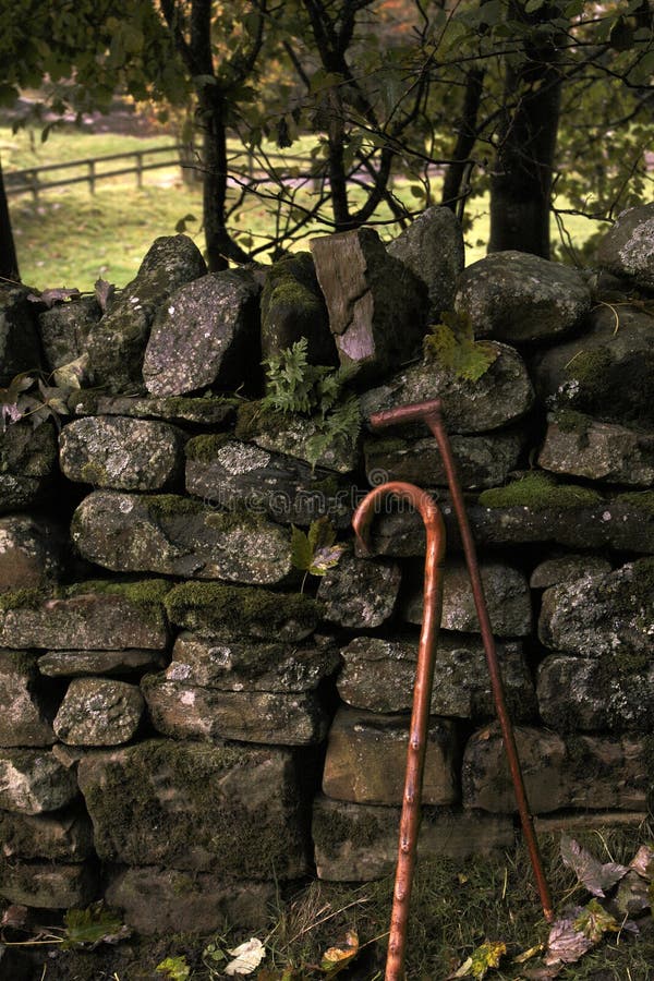 Two Walking Sticks stock photo. Image of friendship, autumn - 12766762