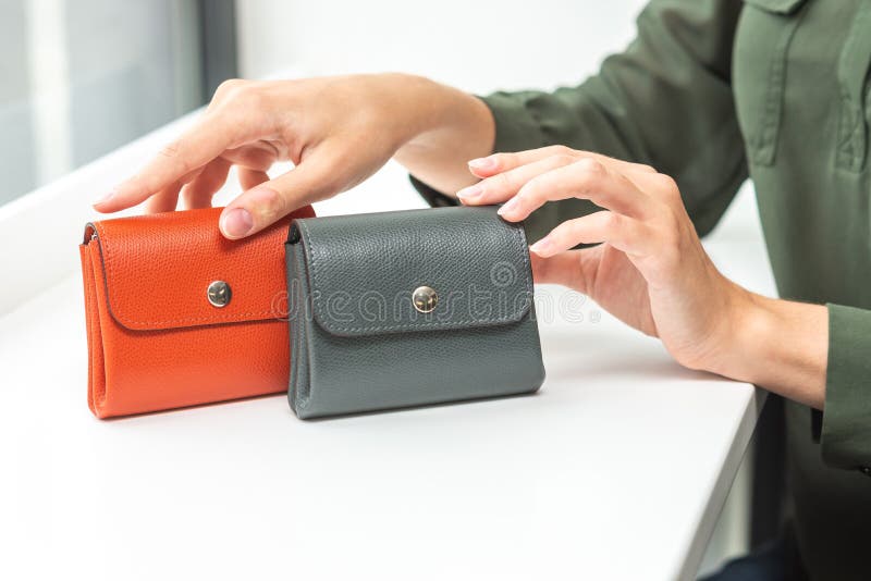 Two Wallets in the Hands of a Girl Stock Photo - Image of bags, purse ...